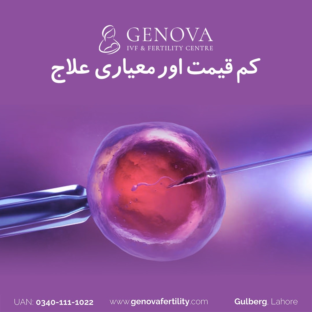 In Vitro Fertility IVF Procedure - Course, Stages of Treatment